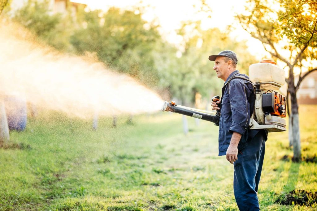 Mosquitoes - Pest Control & Extermination | Elite Home Services